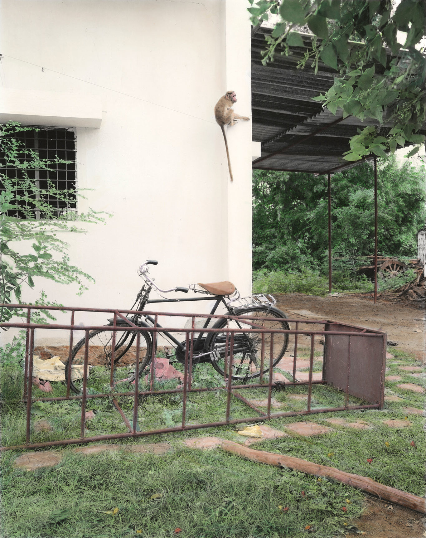 Dandaka « Vasantha Yogananthan