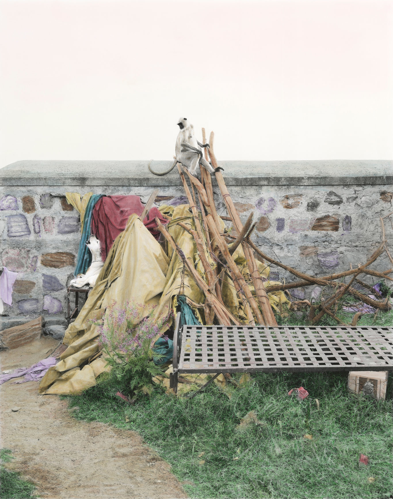 Dandaka « Vasantha Yogananthan