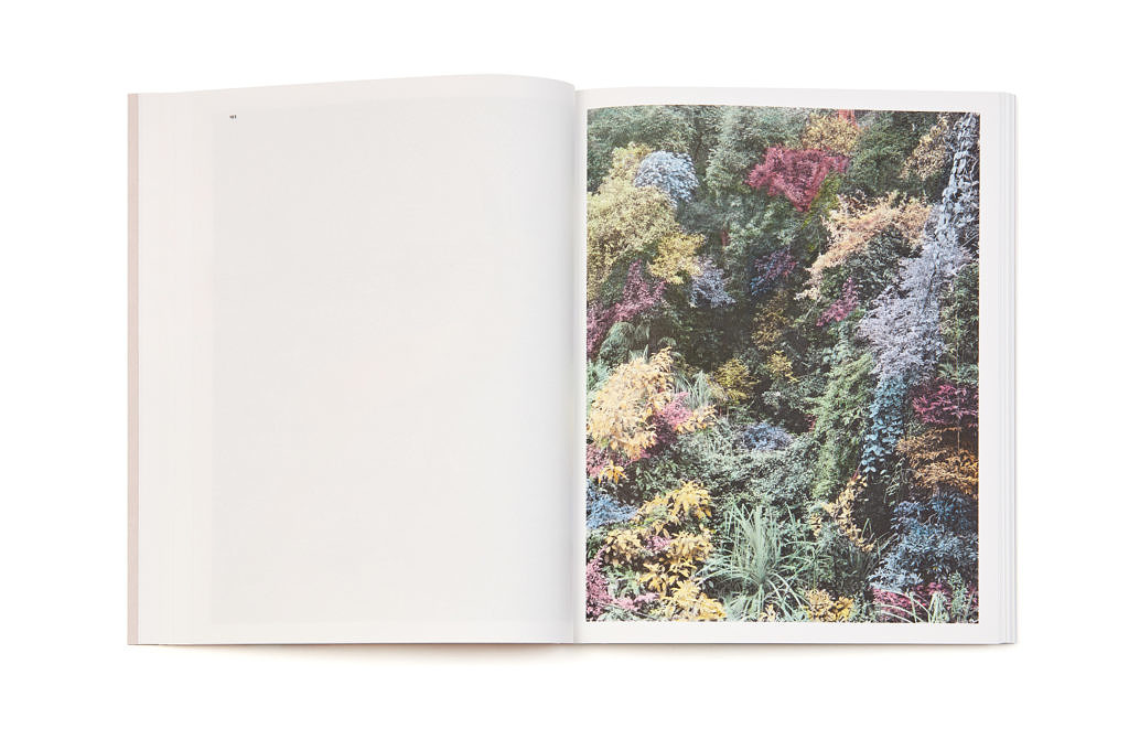 Dandaka « Vasantha Yogananthan